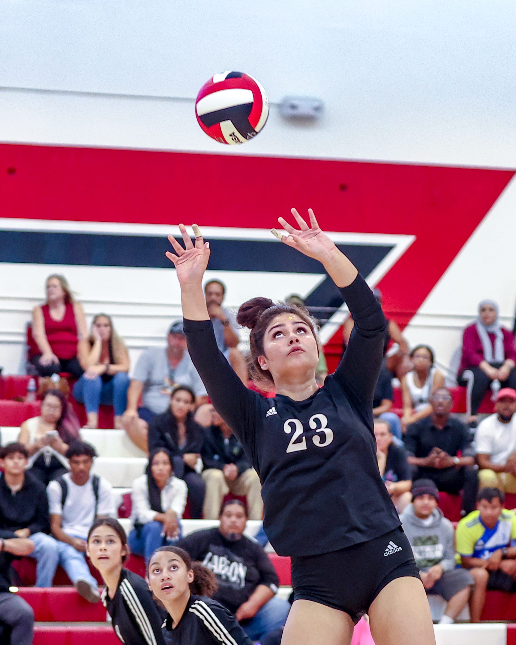 PHOTOS: Lakewood vs. Long Beach Poly, Girls’ Volleyball – The562.org