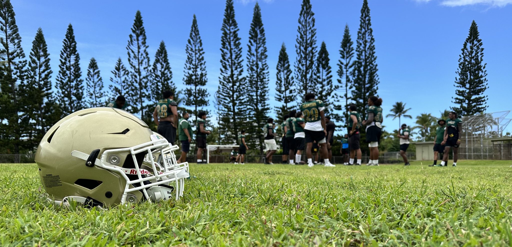 Football Preview: Long Beach Poly Jackrabbits – The562.org