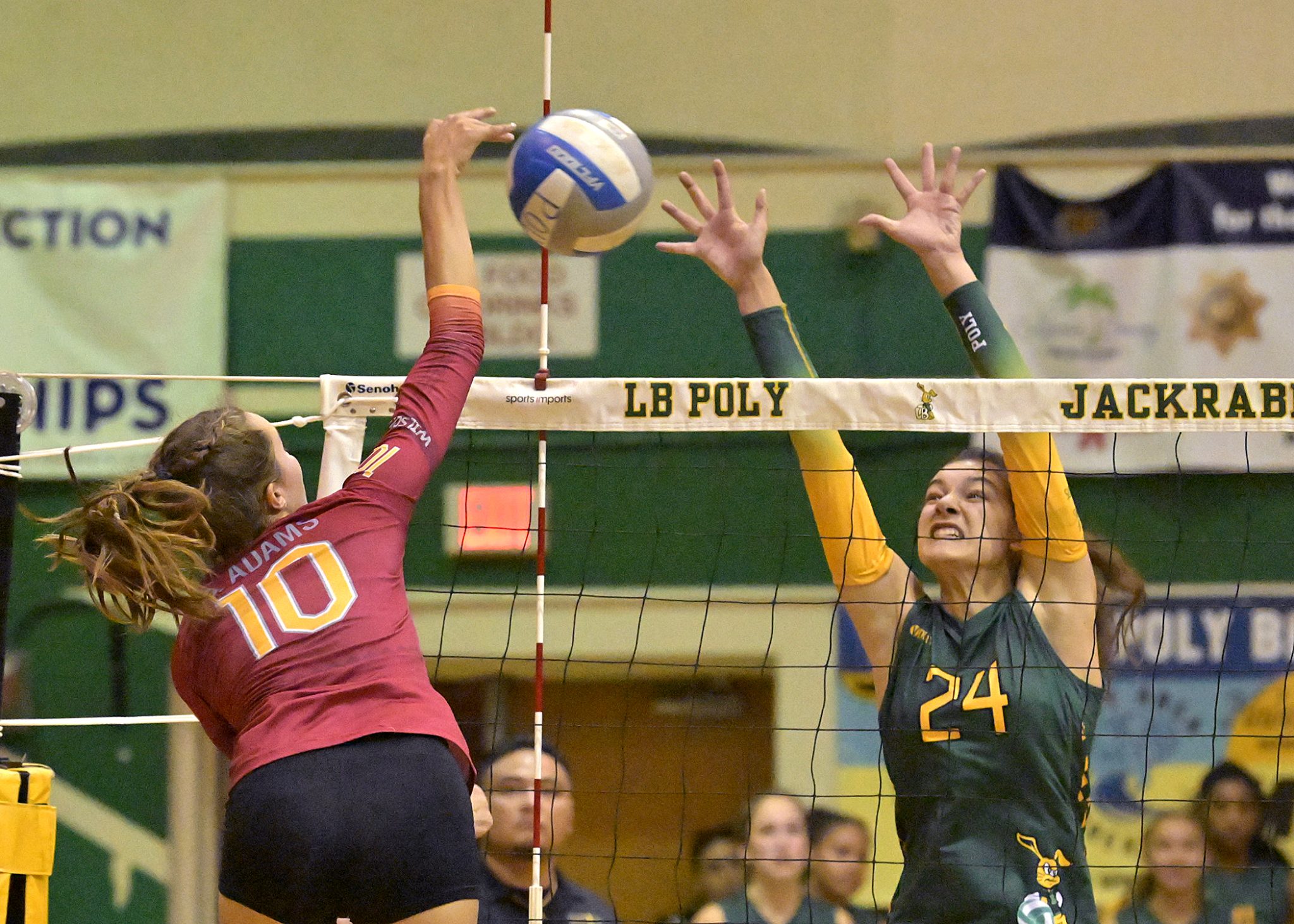 LIVE UPDATES: Long Beach Poly vs. Wilson, Girls’ Volleyball – The562.org