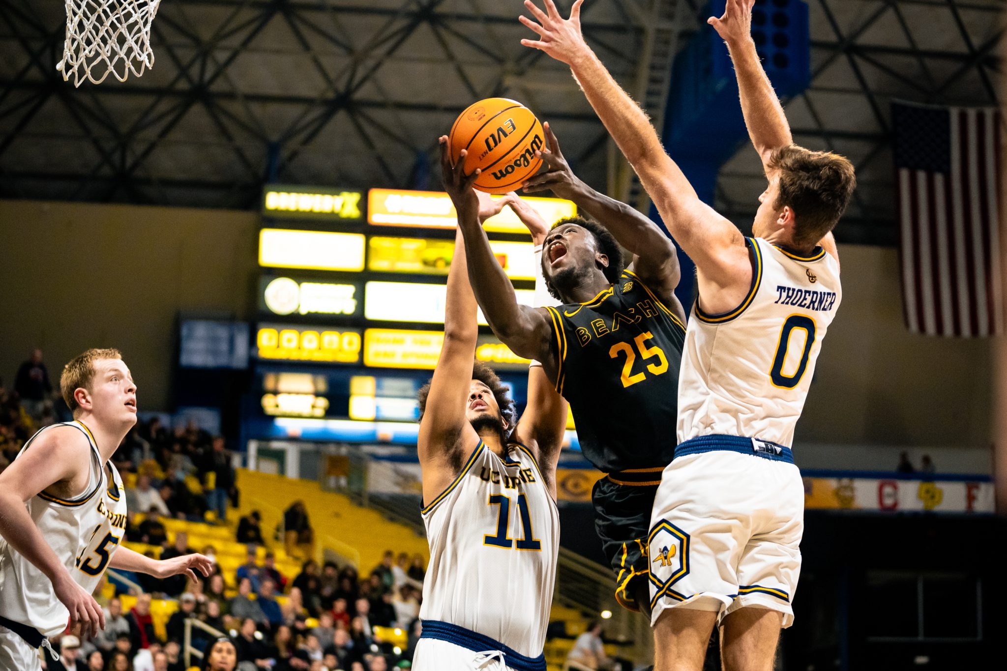 LIVE UPDATES: Long Beach State Vs. UC San Diego, Men’s Basketball ...