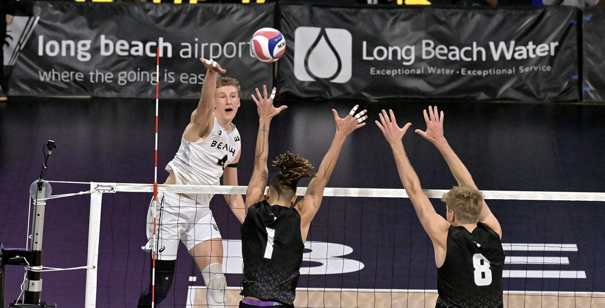 LIVE UPDATES: Long Beach State vs UCSD NCAA Volleyball – The562.org