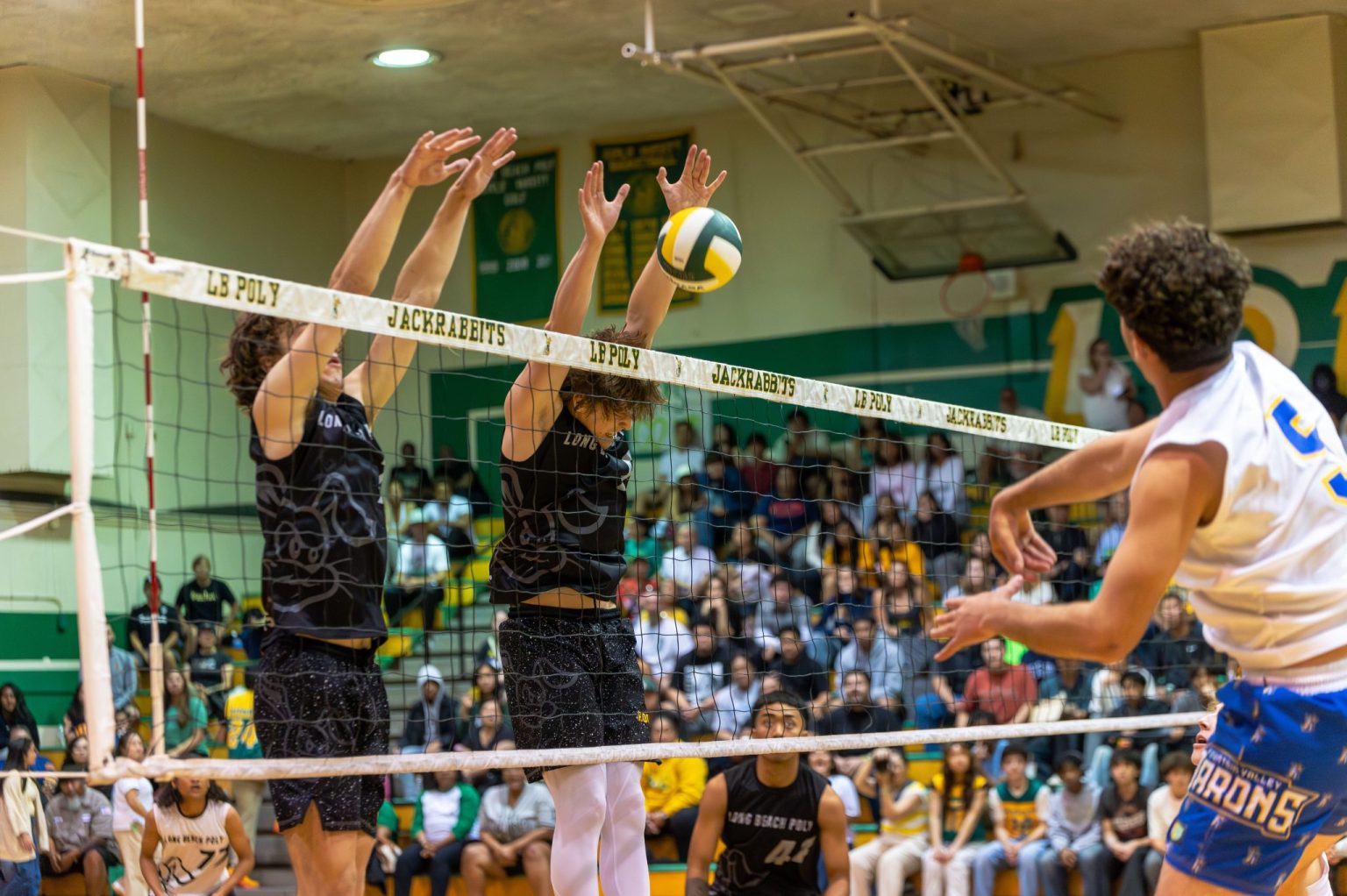 PHOTOS: Long Beach Poly vs. Fountain Valley, CIF Volleyball – The562.org