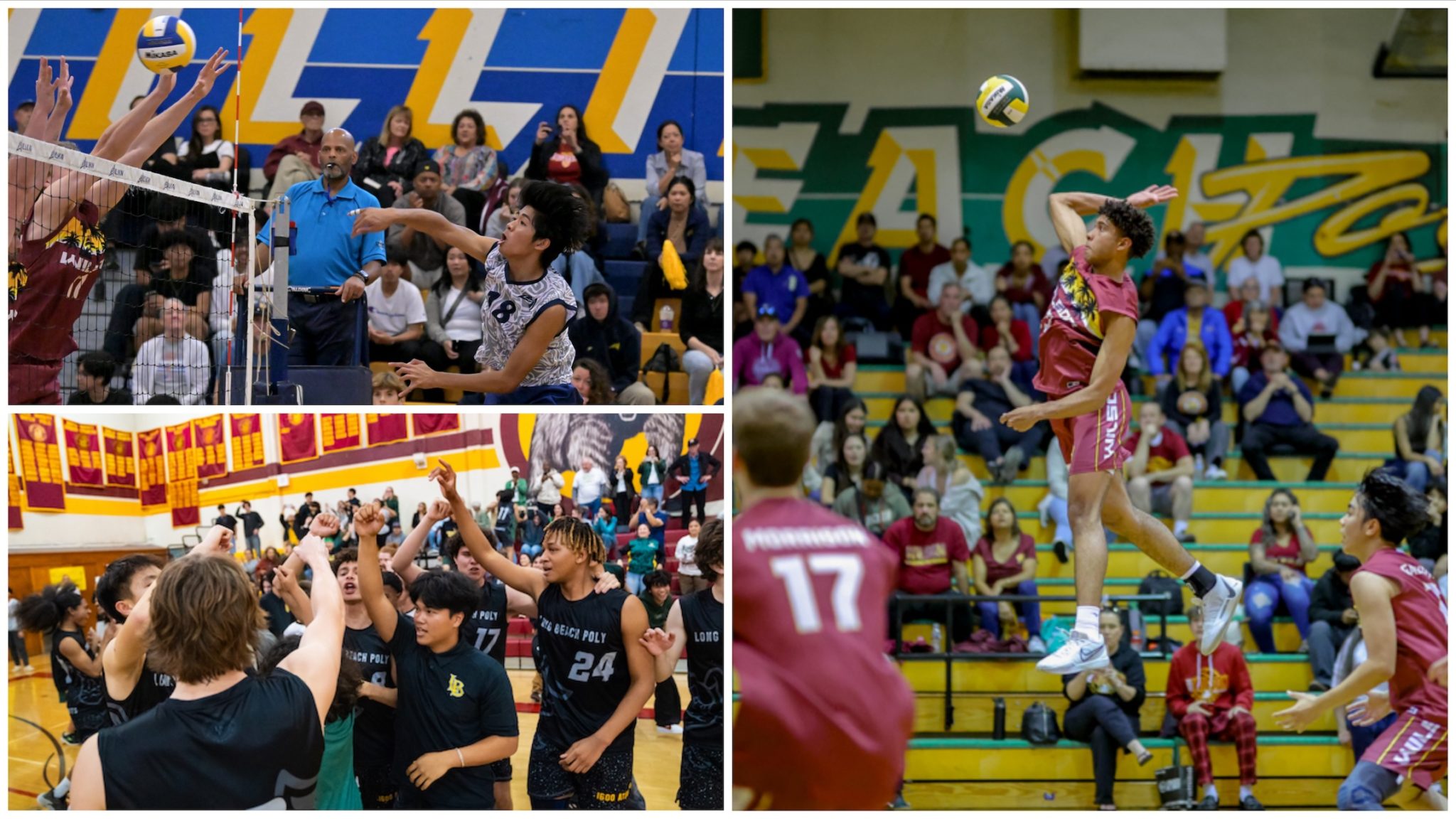 2025 Long Beach Boys’ Volleyball Preview – The562.org