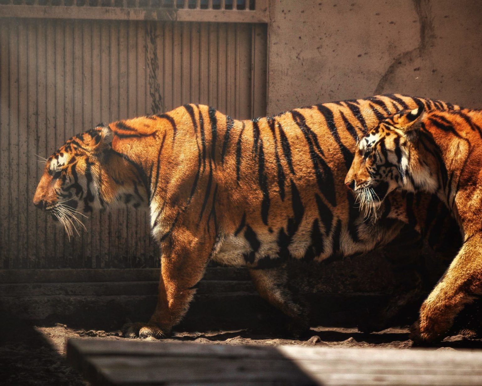 The562 Announces Winners of Inaugural Student Photo Competition ...