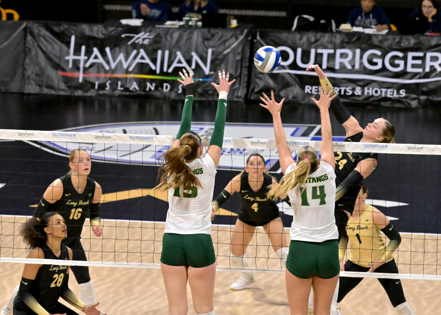 BONUS PHOTOS: Long Beach State Vs. Cal Poly, Women’s Volleyball ...