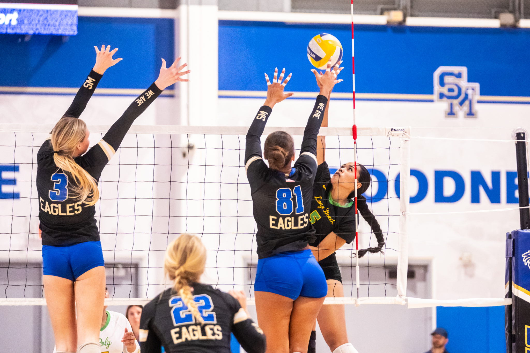 CIF Girls’ Volleyball: Long Beach Poly Runs Into Buzzsaw at Santa ...
