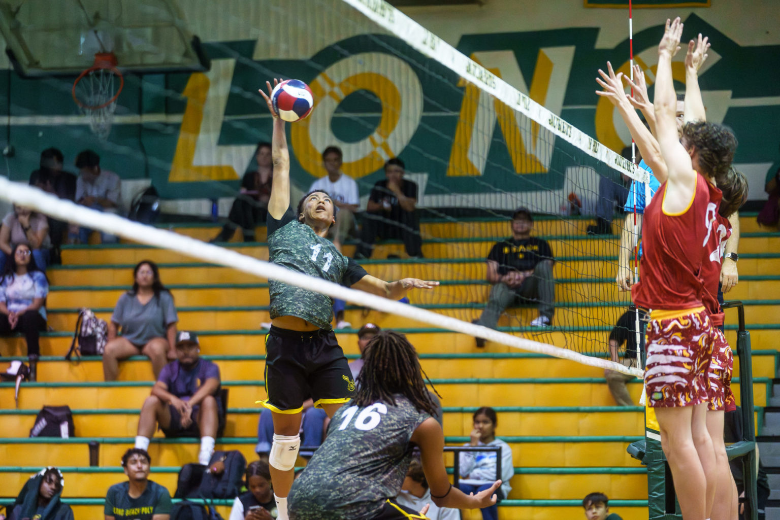 PHOTOS: Long Beach Poly vs. Wilson, Boys’ Volleyball – The562.org